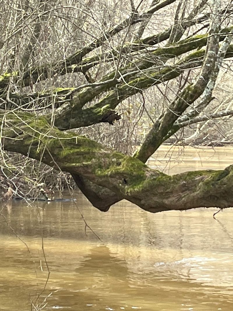 Greenway | Wolf River Conservancy